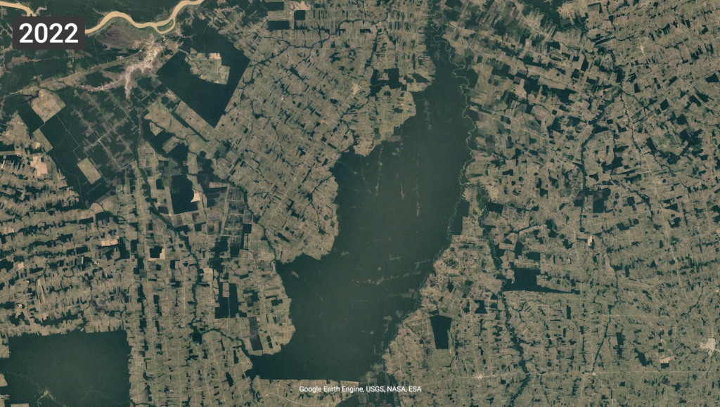 Into the Brazilian Amazon • Collections • Open Planet